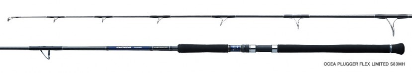 海水路亞竿 | SHIMANO釣具台灣總代理 | 三司達企業股份有限公司